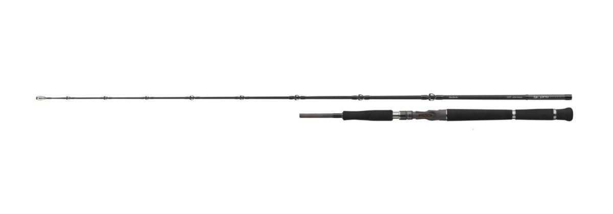 Spinning Daiwa DW Pro Staff CF Vertical 1.90m 180g
