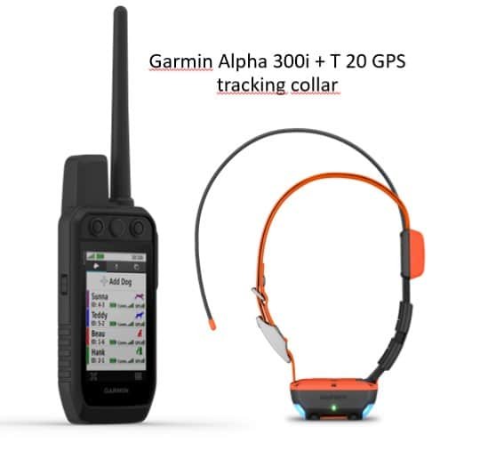 Kit Garmin Alpha 300i+ T20 GPS collar | Eholotes.eu