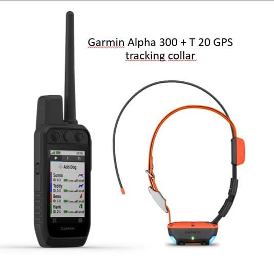 Kit Garmin Alpha 300+ T20 GPS collar | Eholotes.eu